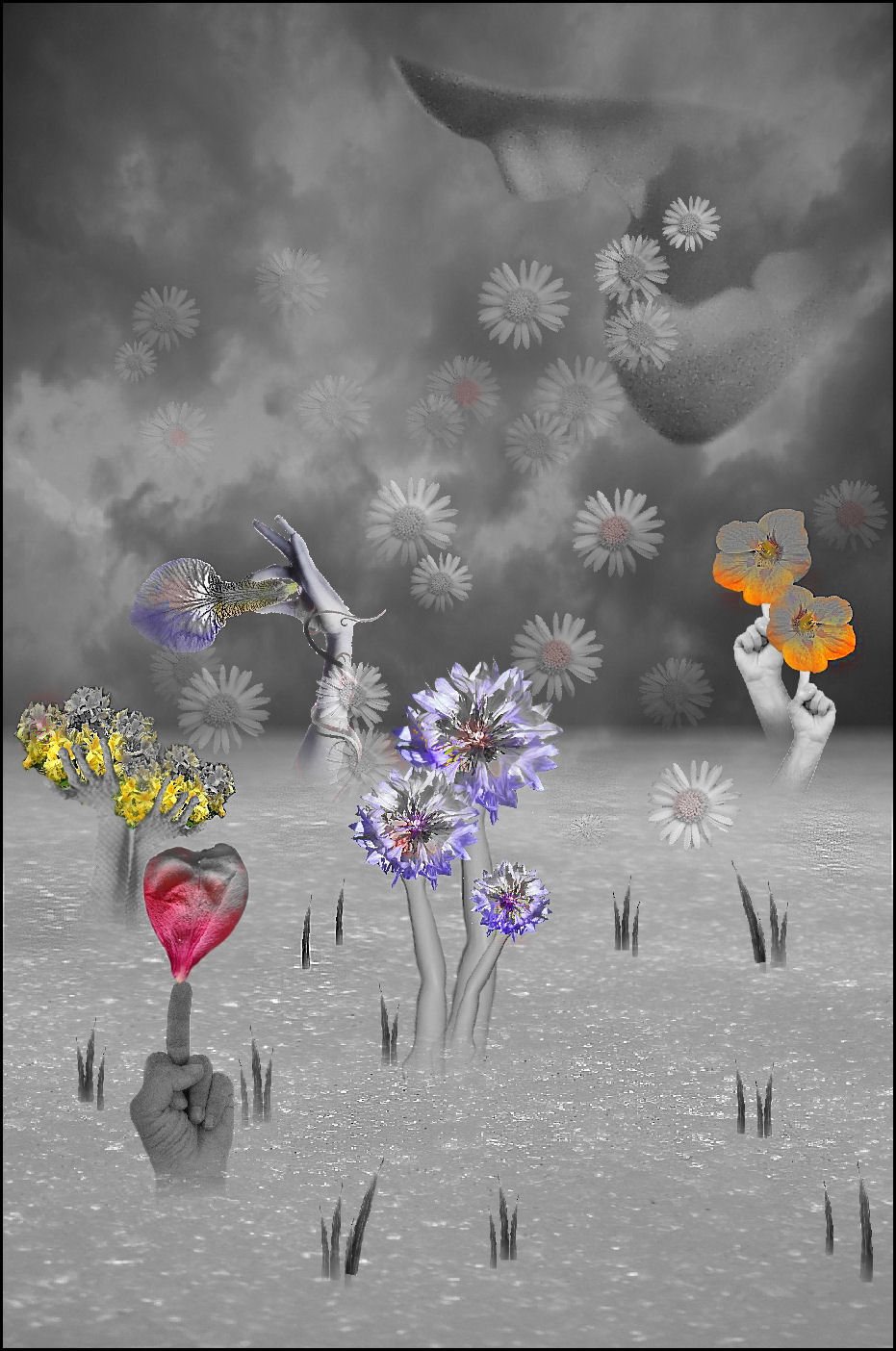 Ein Hauch | Wunderntüte